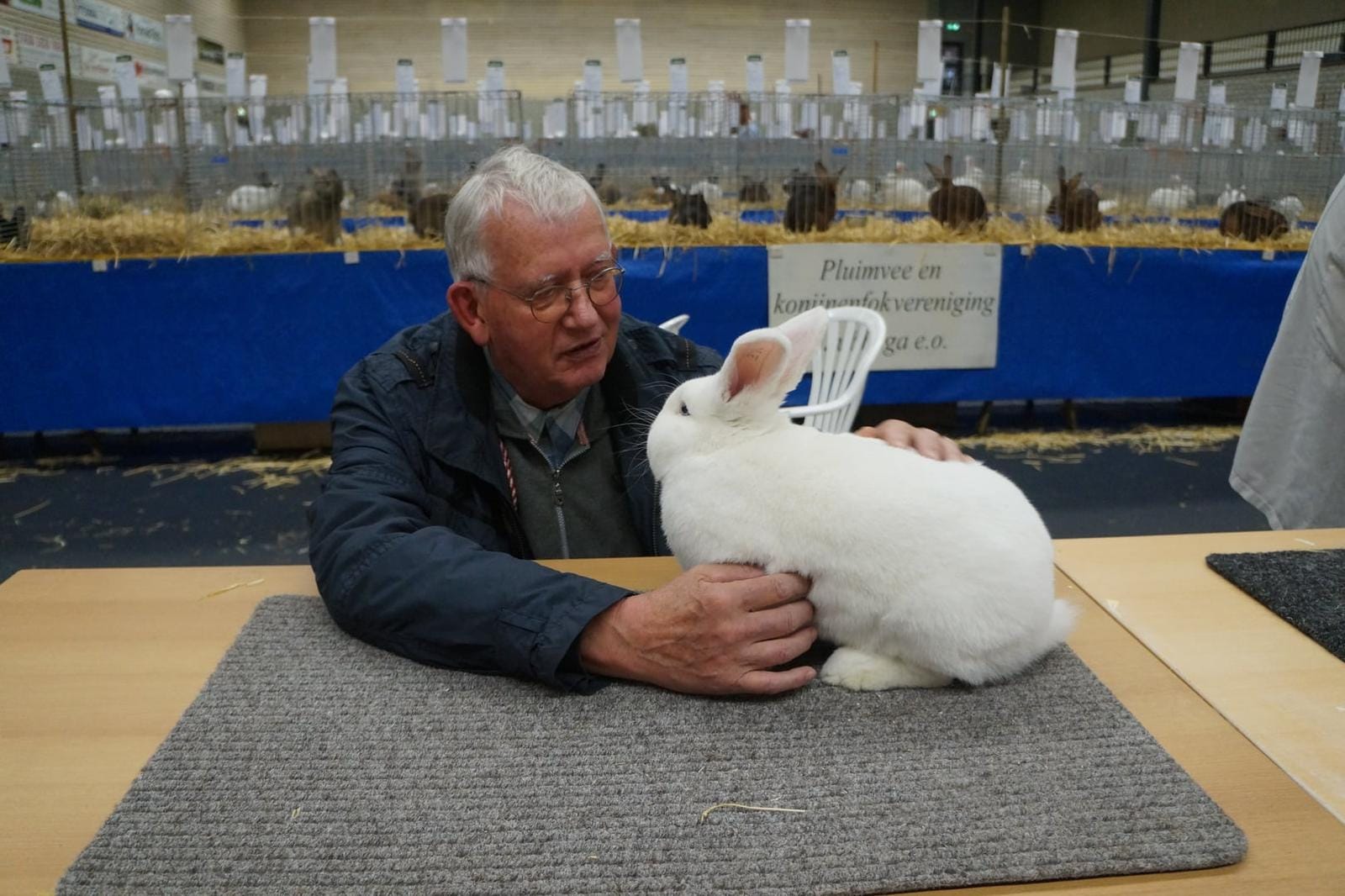 Nationale Wener- en Holicerclub Nederland - NIEUWS